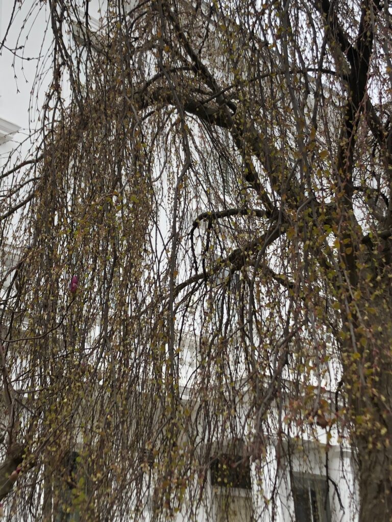 Welcome - Trad's Diary